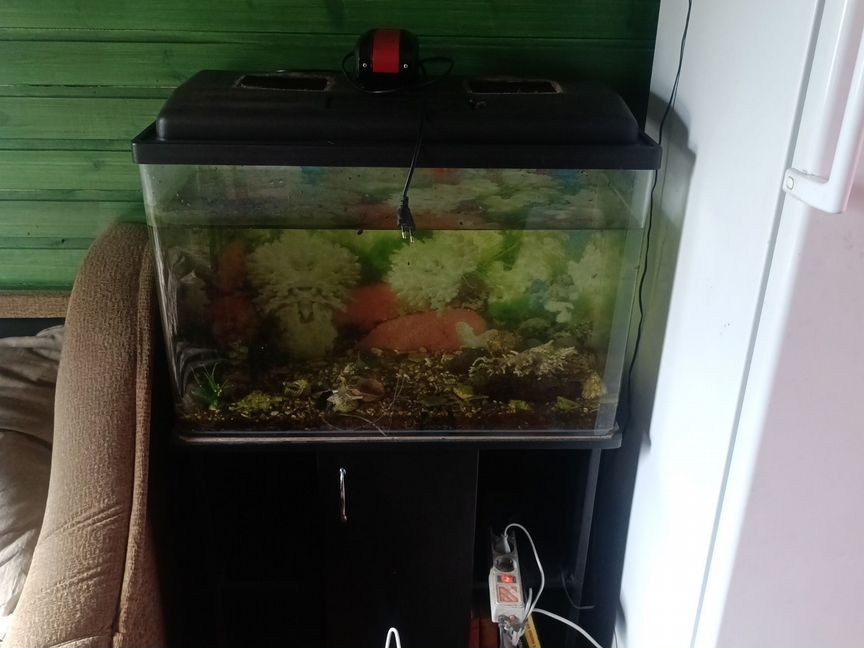 Аквариум с тумбой бесшовный, Оазис, 105 литров