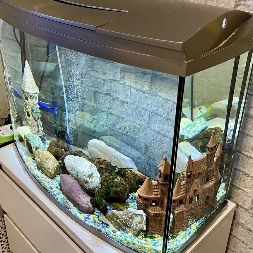 Панорамный аквариум tetra, 130 л