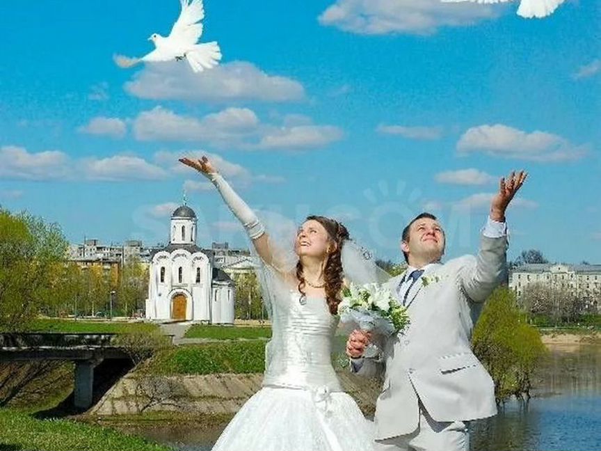 Белые голуби на свадьбу