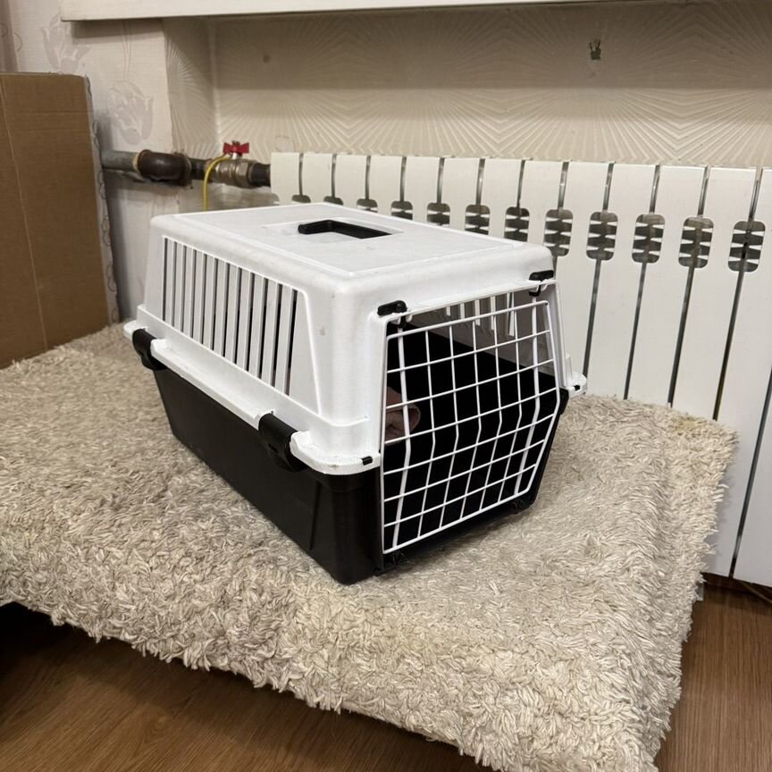 Переноска для животных бу