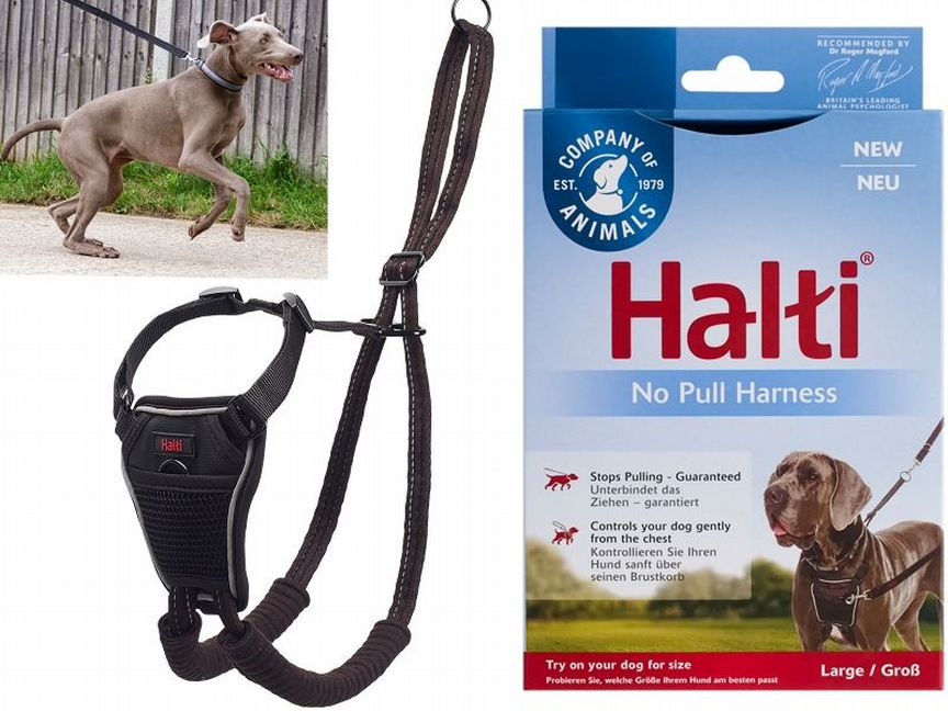 Шлейка для дрессировки Не тяни L