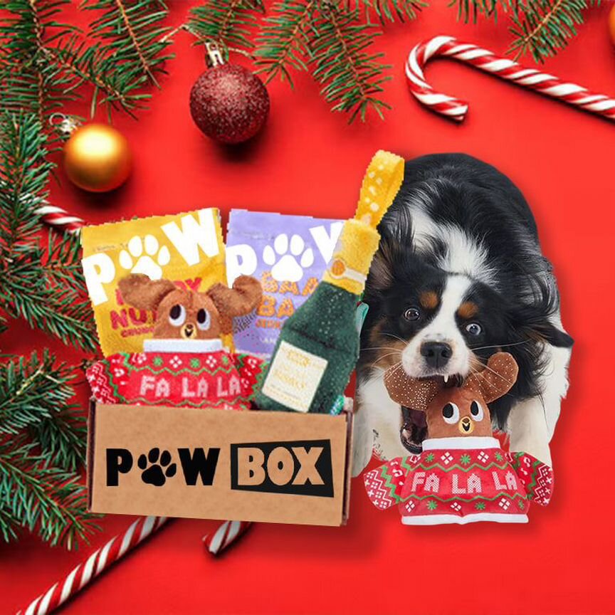 Идеальный подарок для вашей собаки – PawBox