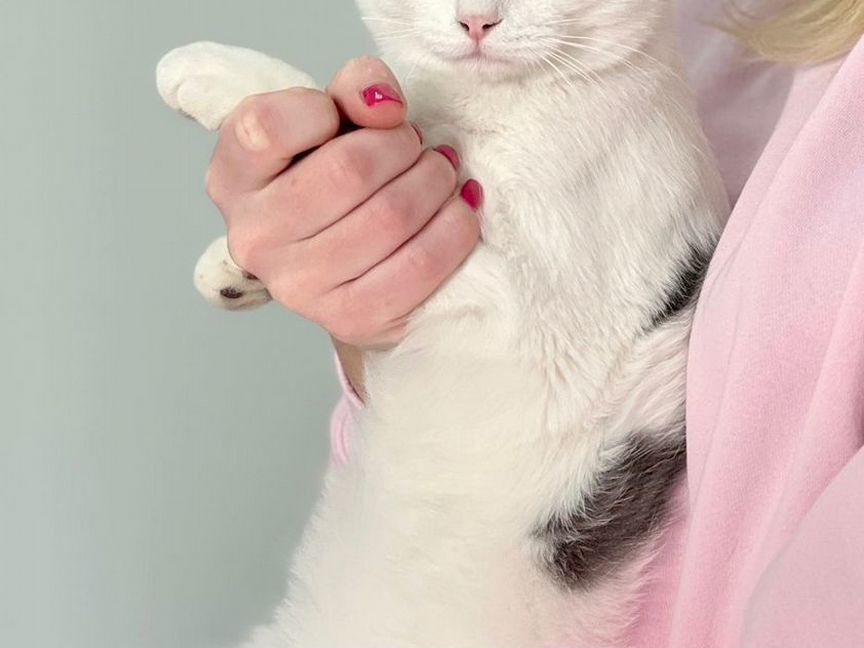 Малыш Снежок в самые добрые руки)