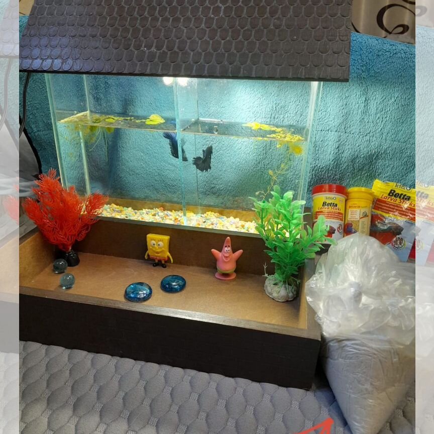 Готовые аквариумы и рыбки на подарок
