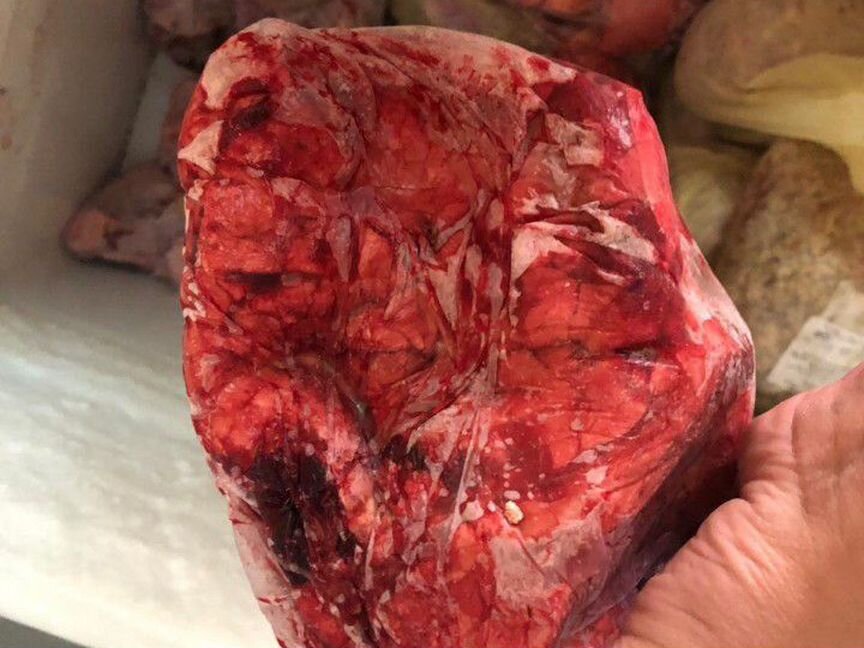 Замороженное мясо, говядина, курица для собак