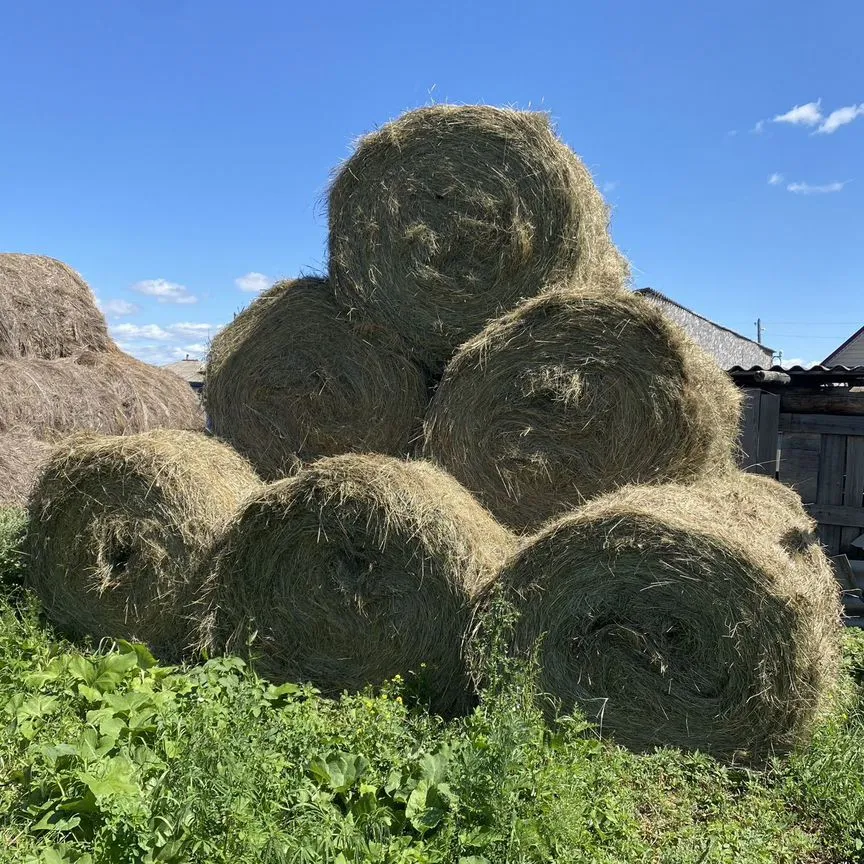 Сено в рулонах