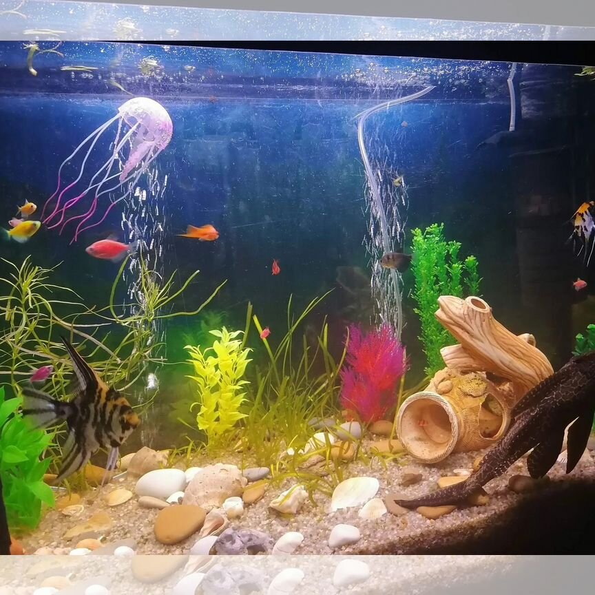 Аквариум с тумбой