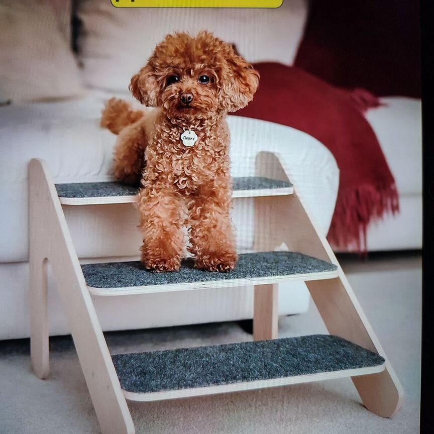 Лесенка для собак 36см