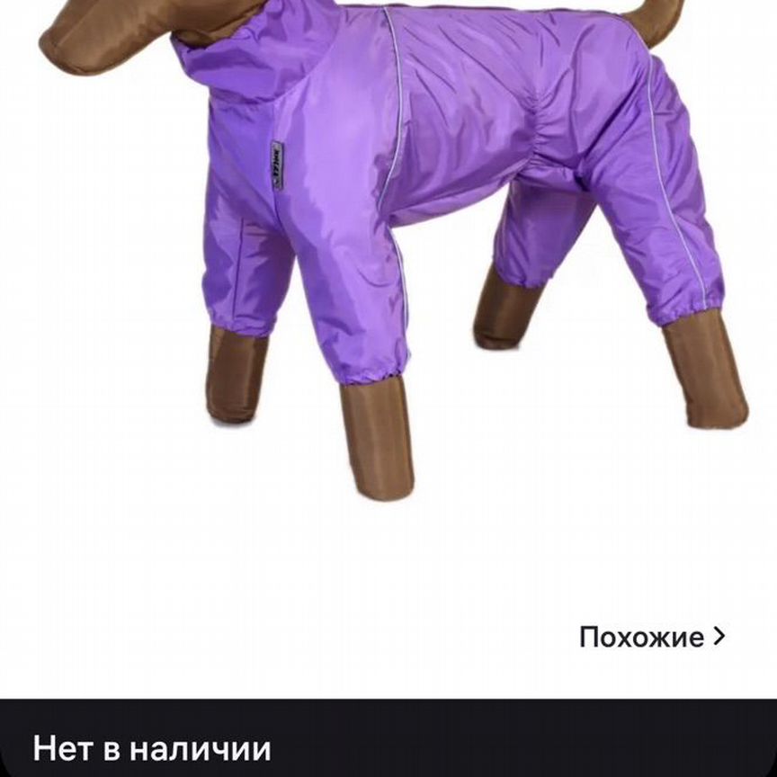 Тузик дождевик китайская хохлатая