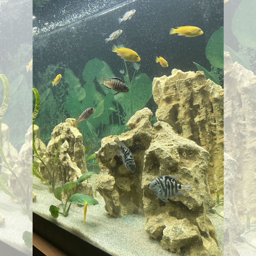 Продам аквариум