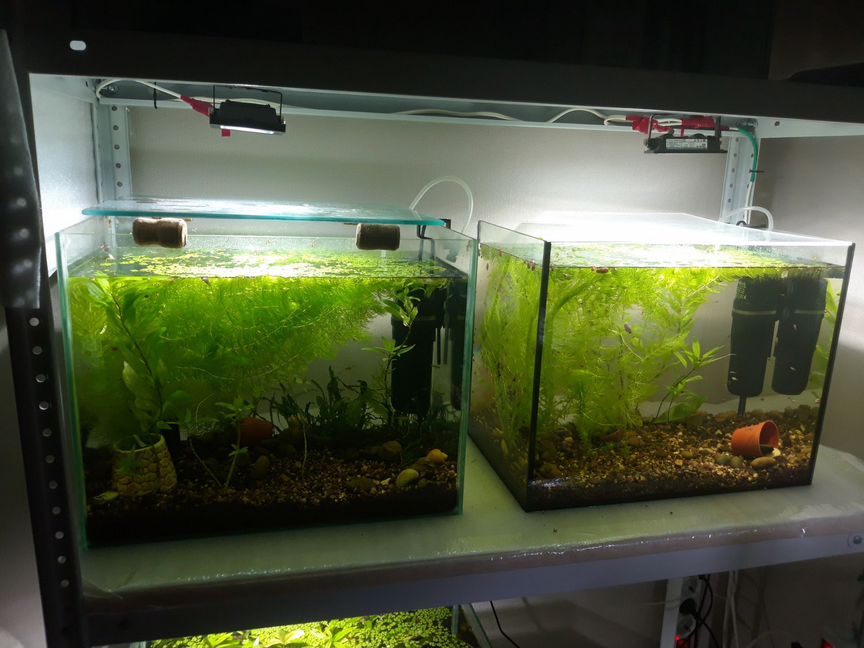 Аквариум 35 литров