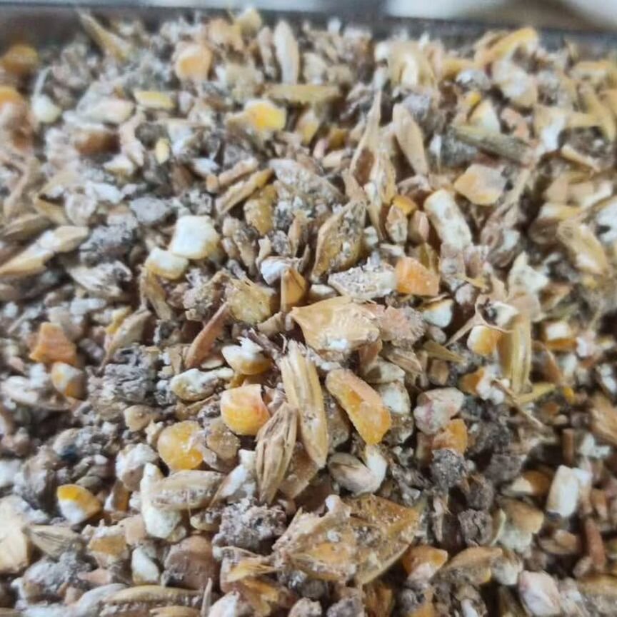 Зерносмесь ячмень