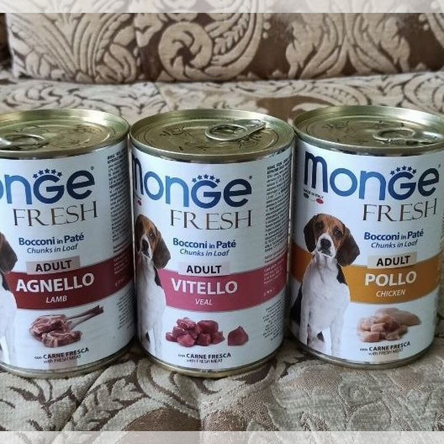 Корм для собак monge влажный