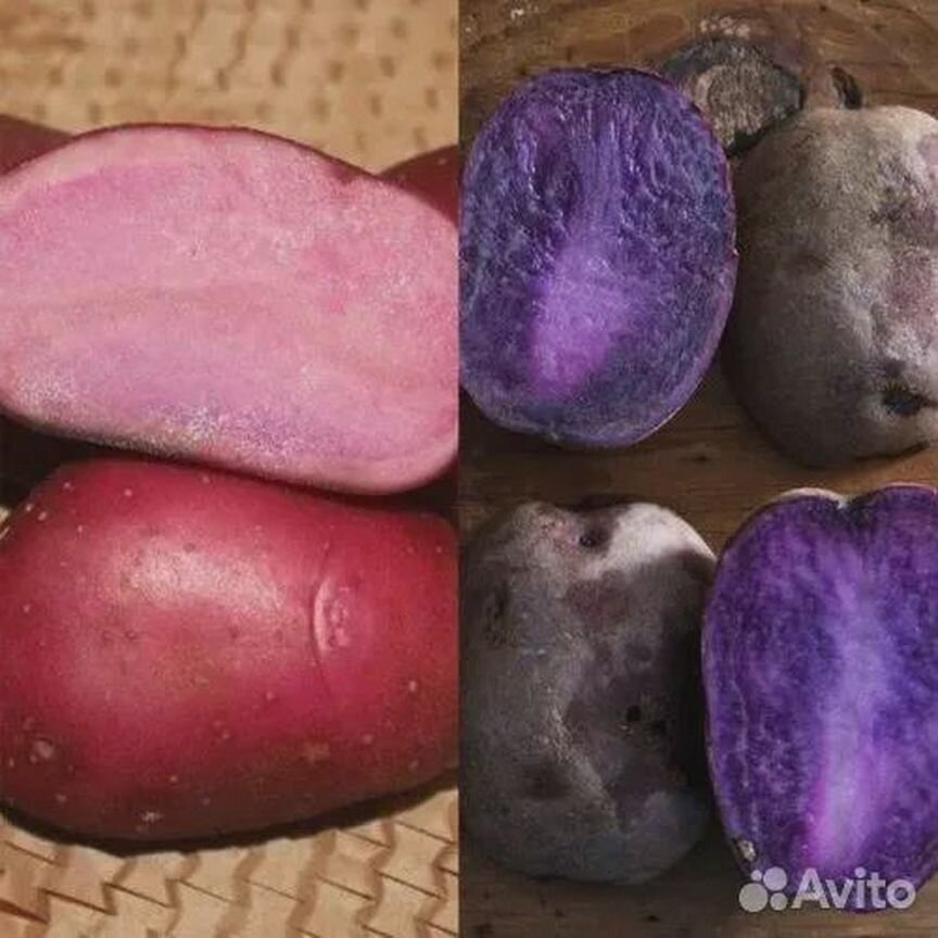 Картофель семенной с розовой и фиолетовой мякотью