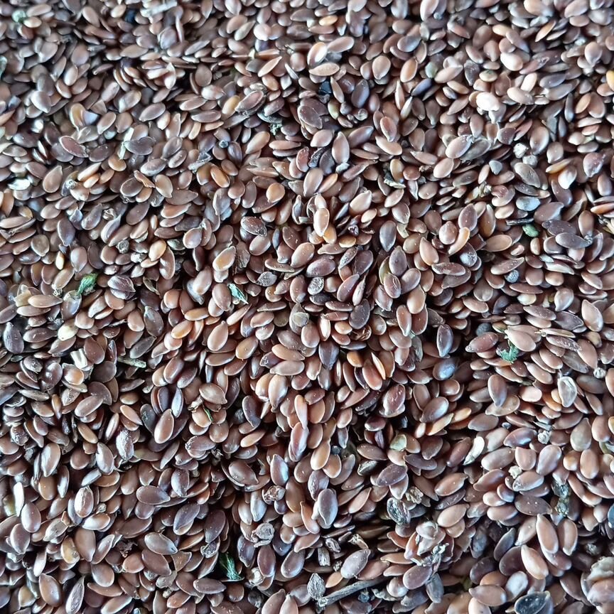 Зерно:Лён,Горох, Вика,Пшеница,Ячмень,Рожь,Горчица