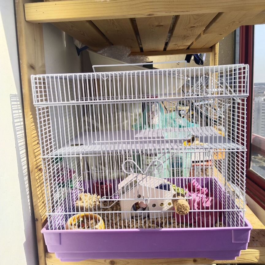 Клетка для грызунов большая для хомяков