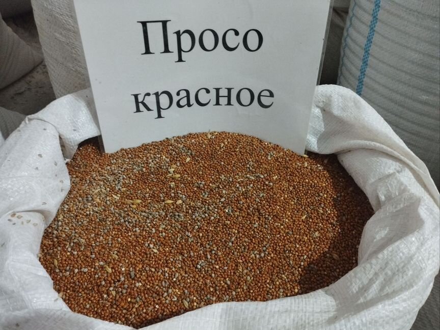 Просо красное белое
