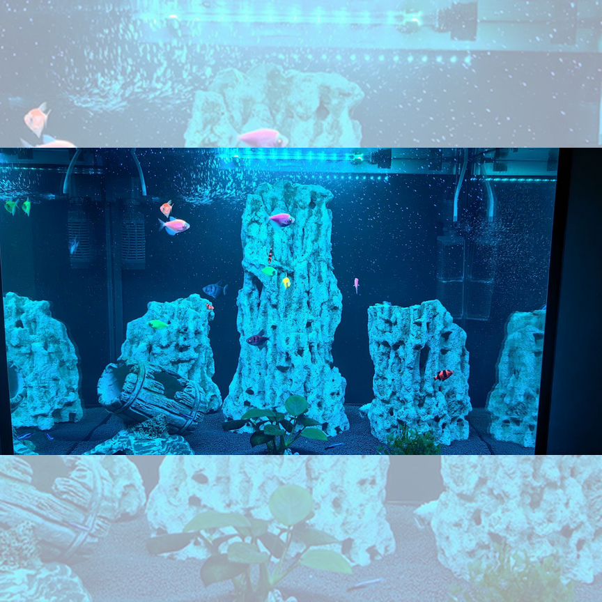 Камень песчаник для аквариума