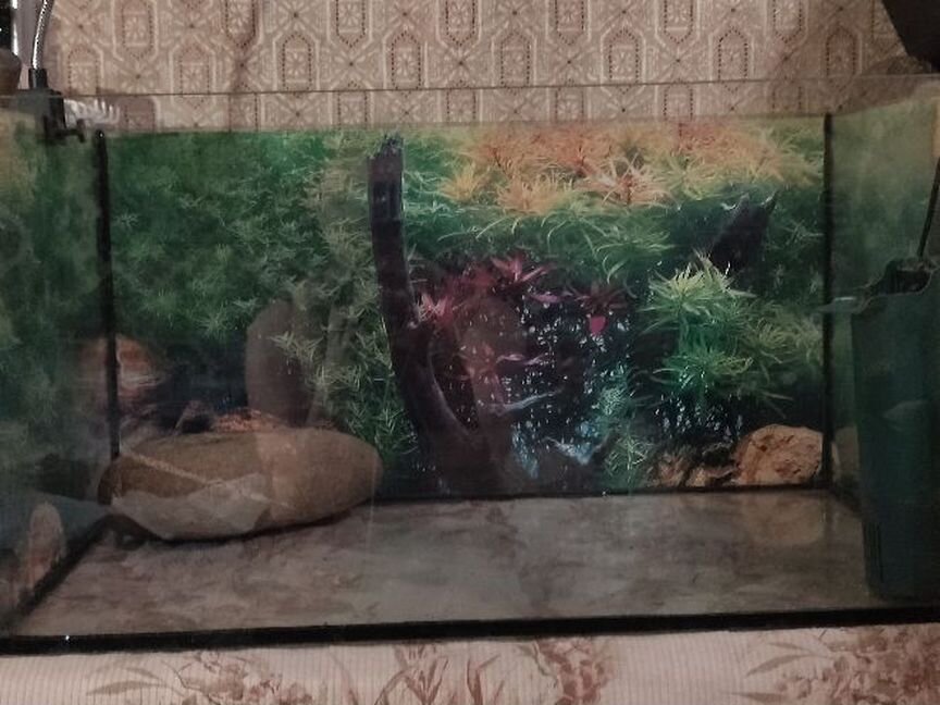 Аквариум