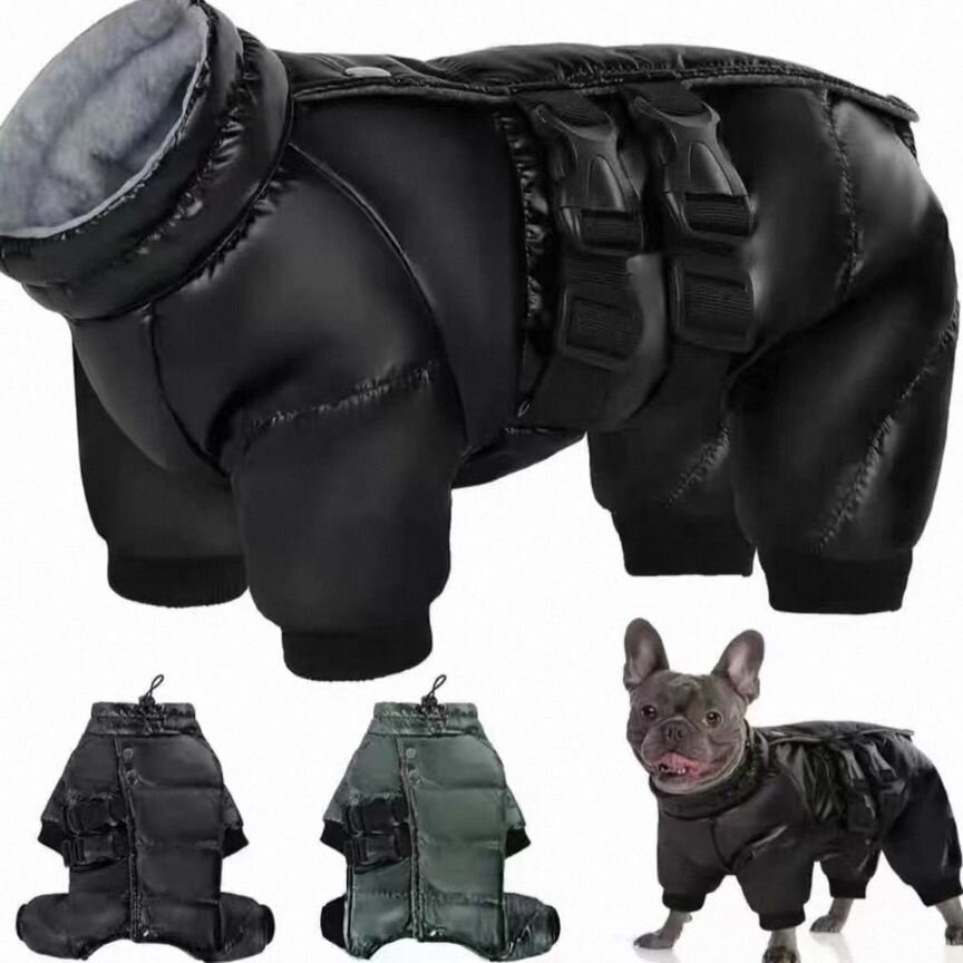 Одежда для собак