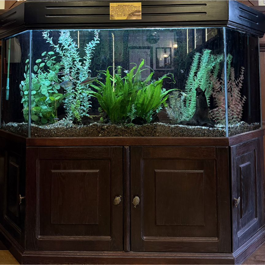 Аквариум с тумбой