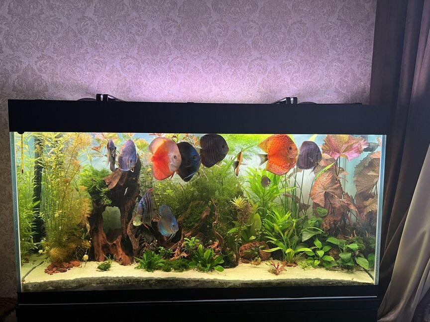 Продам аквариум 330литров