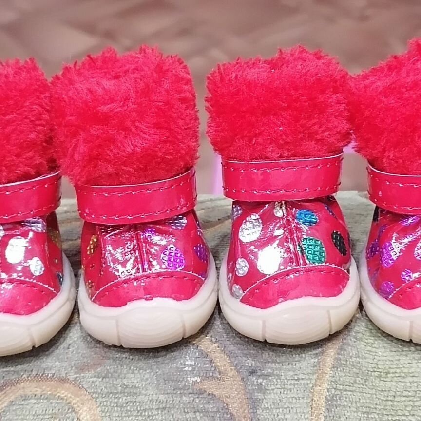 Сапожки для мини собачки