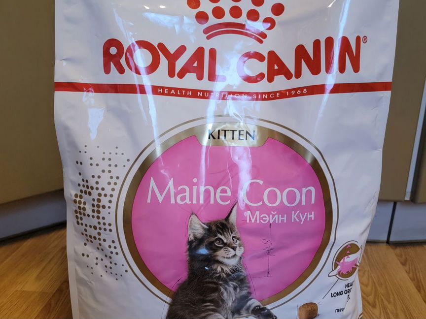 Royal canin для котят Maine coon