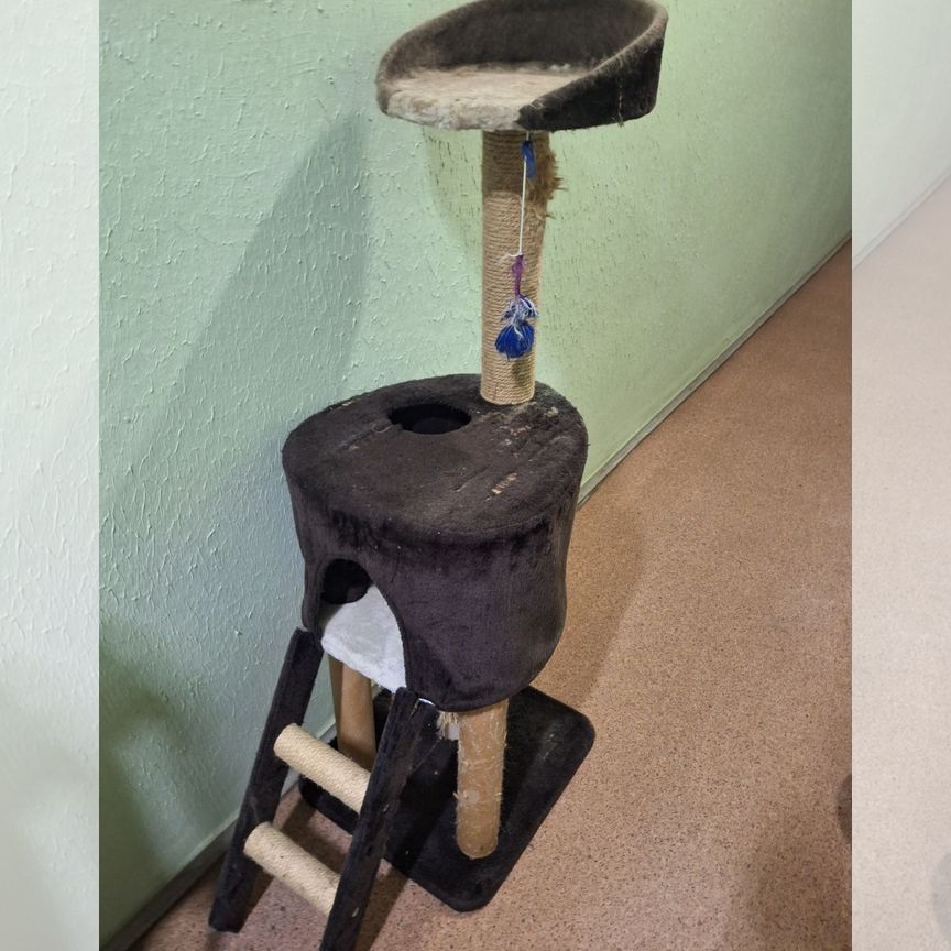 Домик для кошки с когтеточкой бу