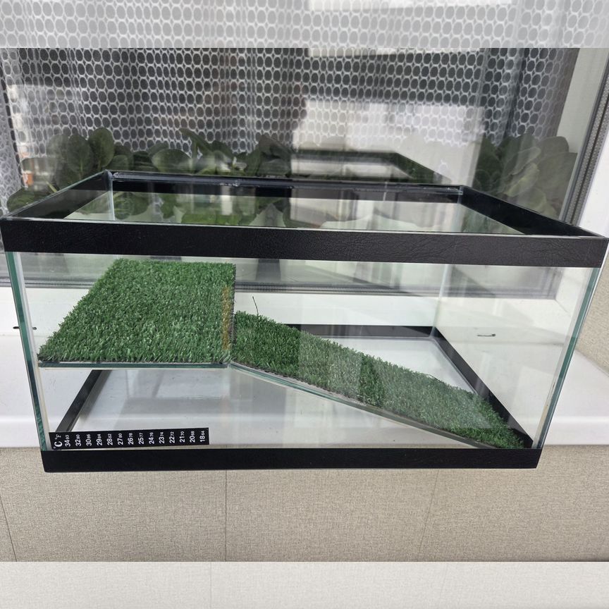 Аквариум для красноухой черепахи 25 литров