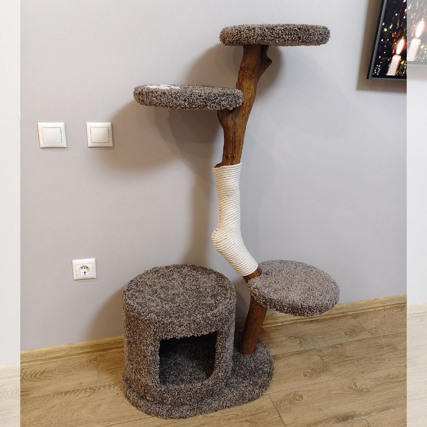 Когтеточка комплекс для кошек из ветви дуба