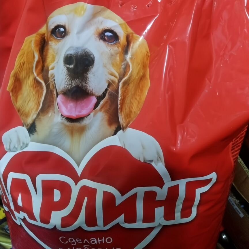 Корм для собак