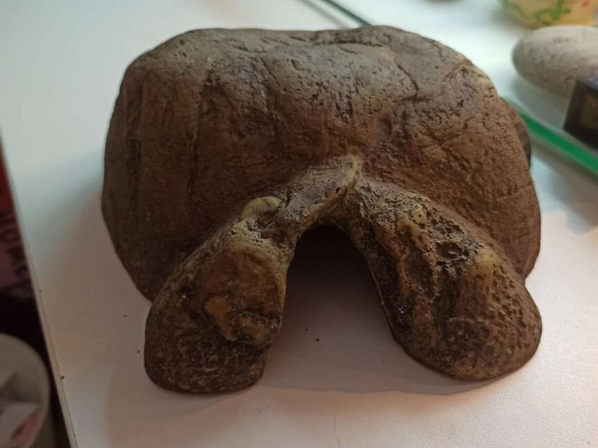 Укрытие для рептилий Exo Terra