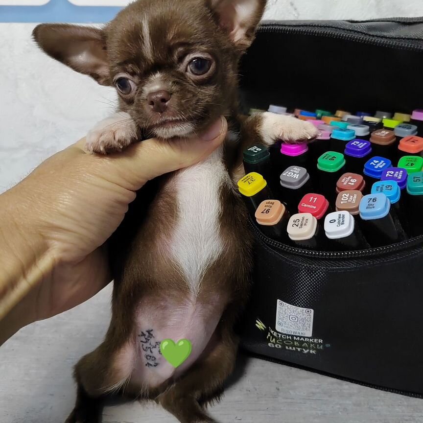 Шоколадное счастье мини мальчик