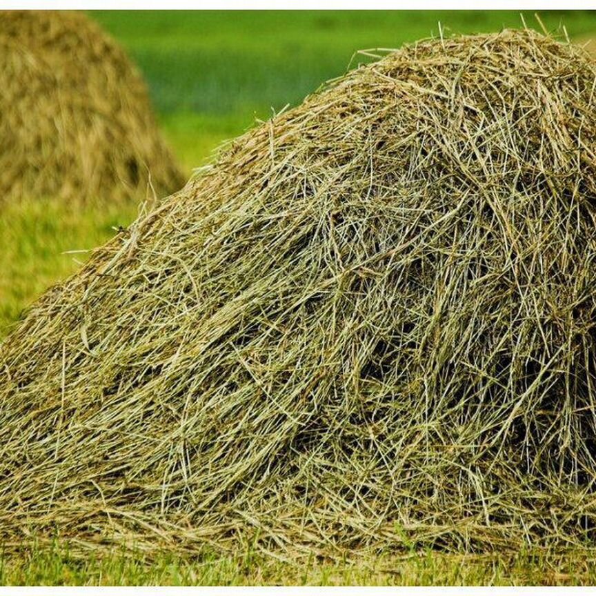 Сено в мешках