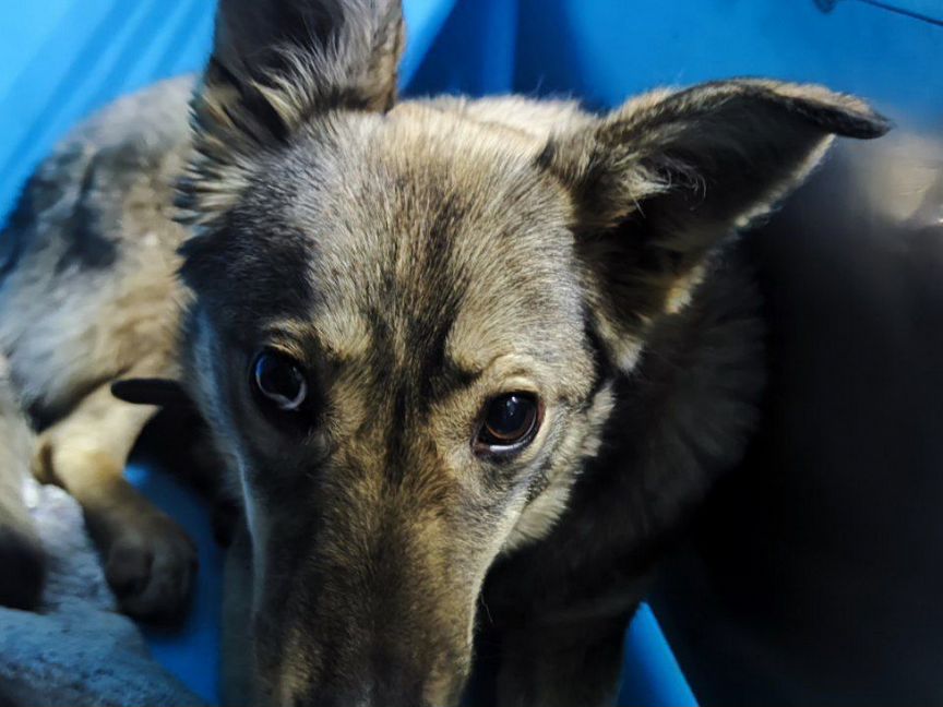 Неделя на поиск дома для Кортни - дальше улица