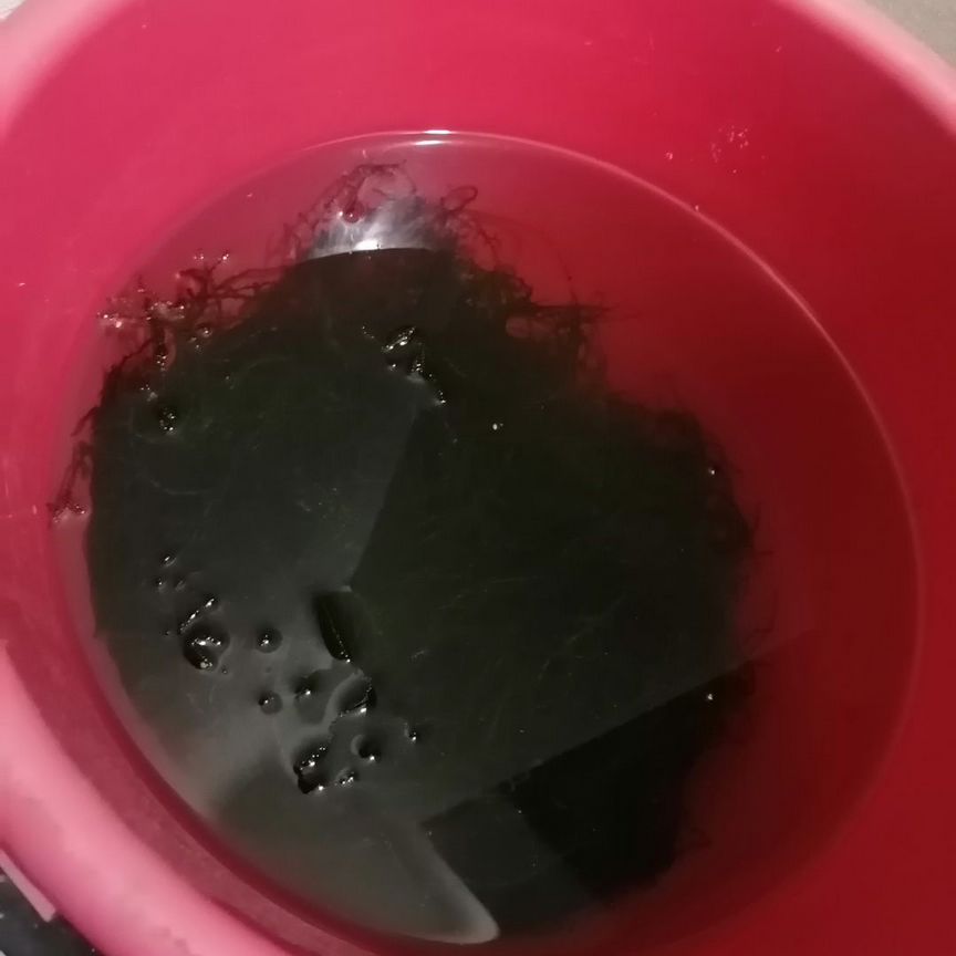 Яванский мох для аквариума