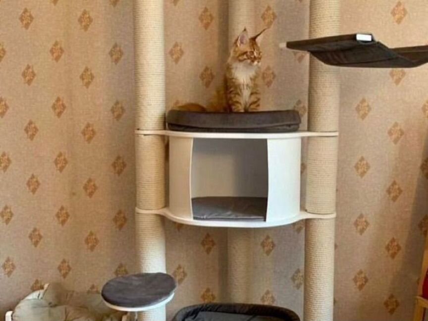 Когтеточка для кошек с домиком