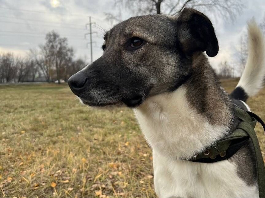 Добрый мальчик ждет семью