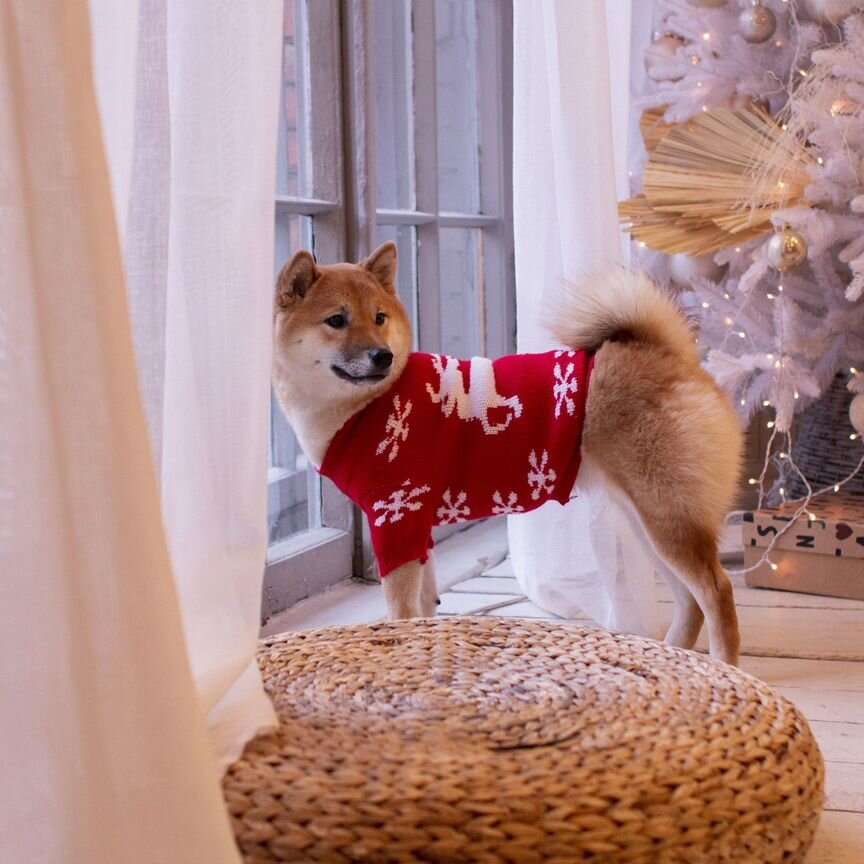 Свитер для собак мелких пород