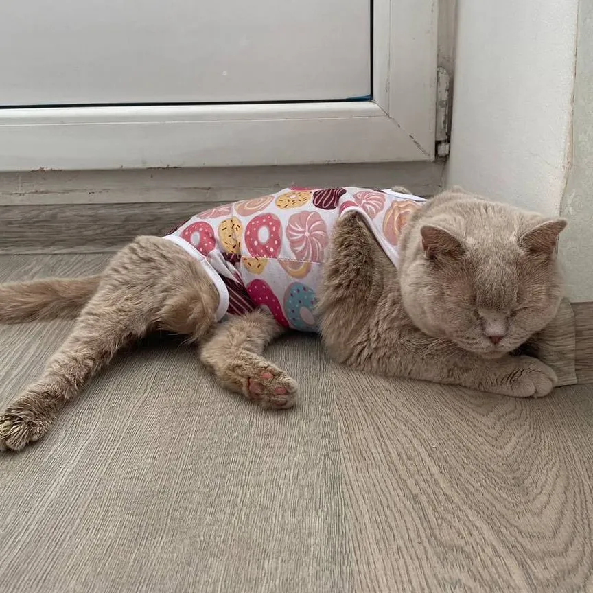 Попона для кошек