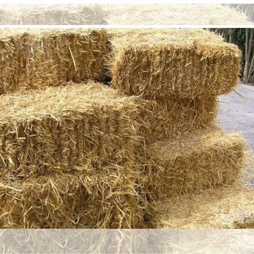 Солома в рулонах и тюках с доставкой