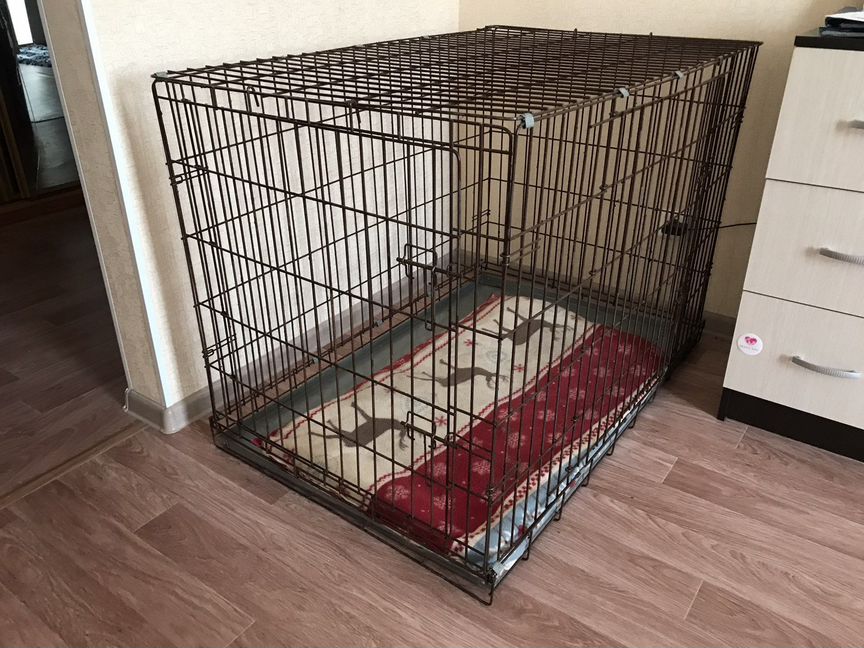 Клетка - вольер для собак (животных) в аренду