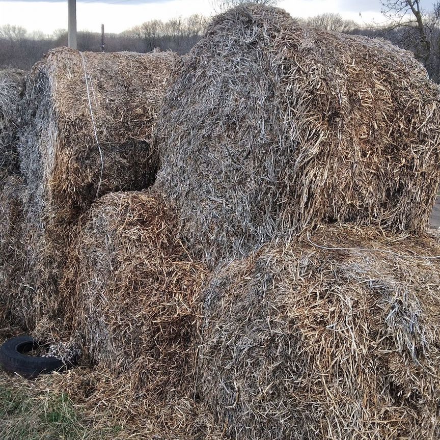 Солома сено в рулонах