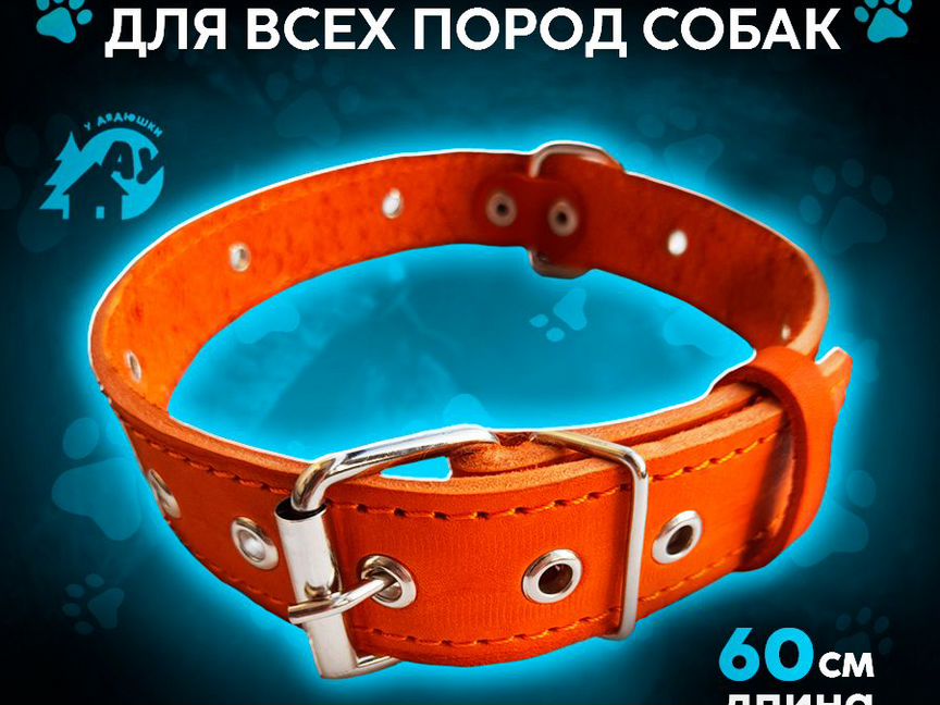 Ошейник для собак средних пород. Натуральная кожа