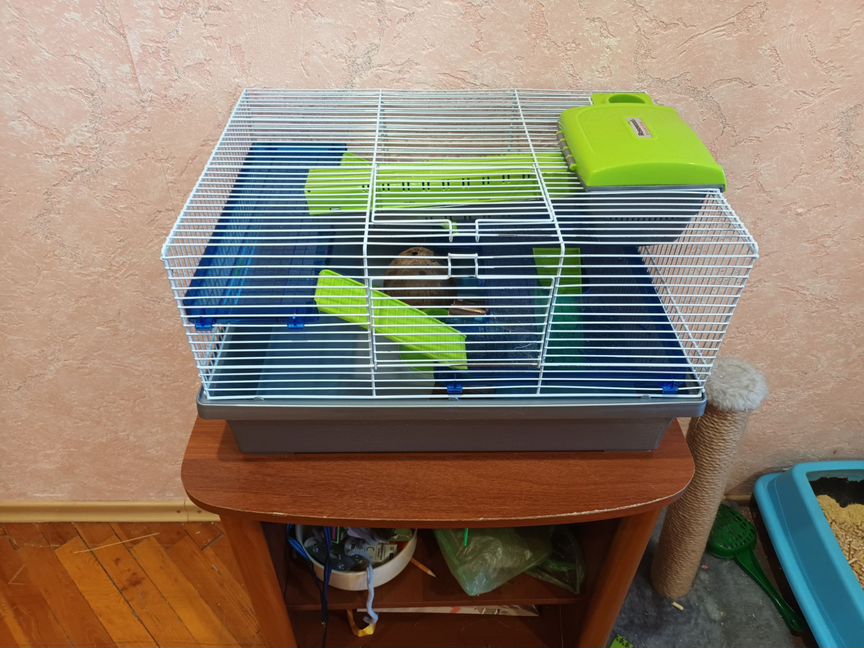 Клетка для джунгарского хомяка