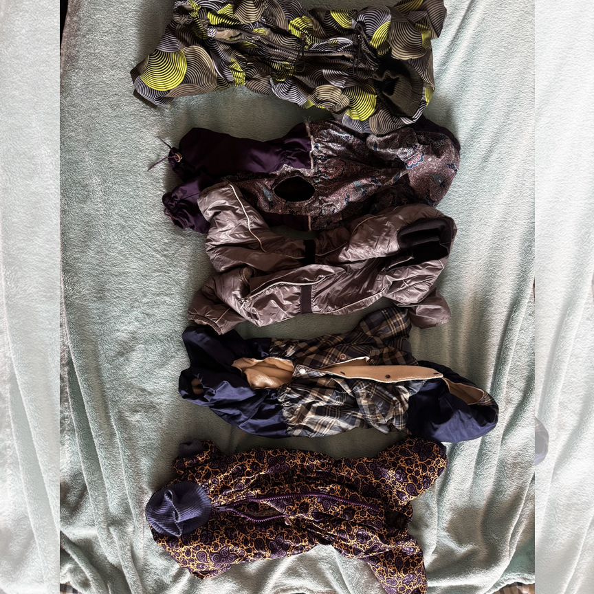 Одежда на собаку