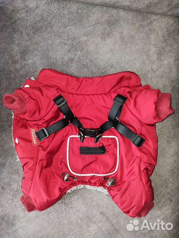 Комбинезон для маленькой собаки купить в Долгопрудном | Животные и ...