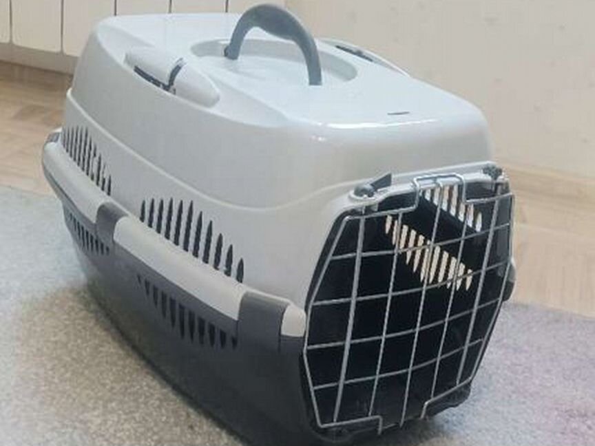 Переноска для животных аренда