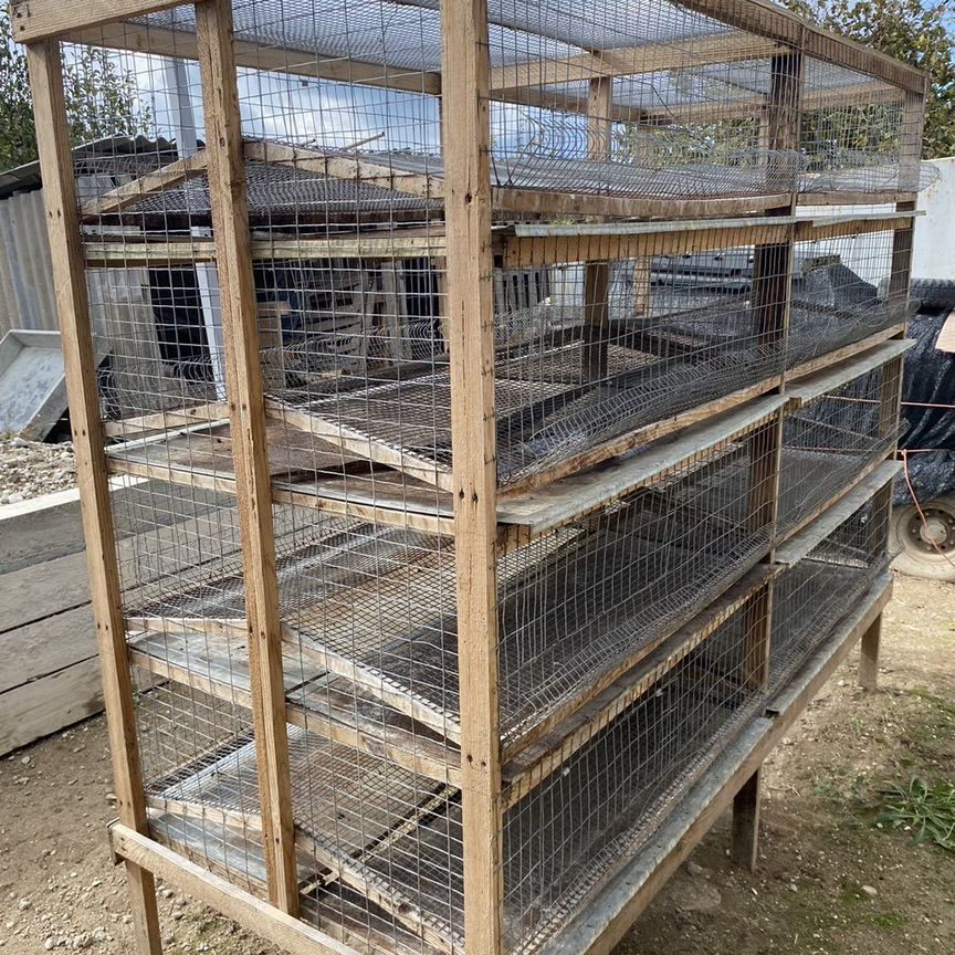 Перепелятник